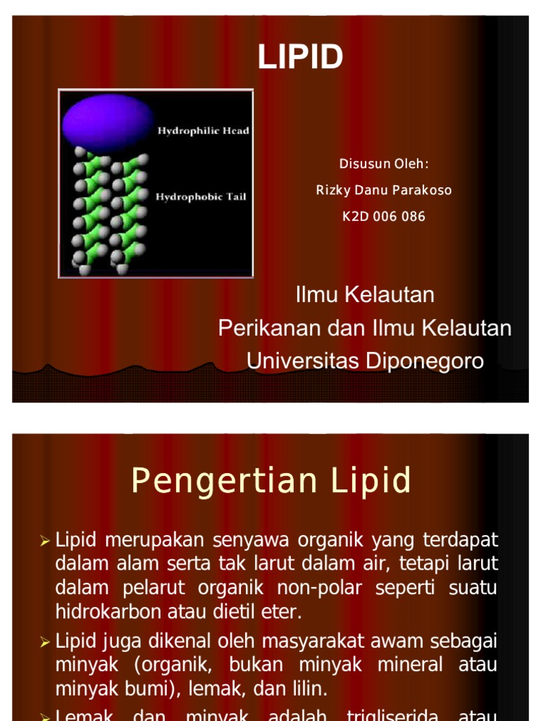 Lipid | PDF | Griya & Taman | Kesehatan Holistik