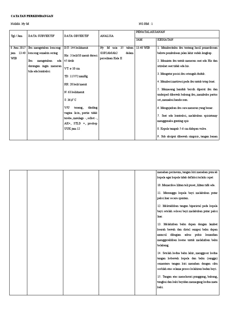 Catatan Perkembangan Salin | PDF