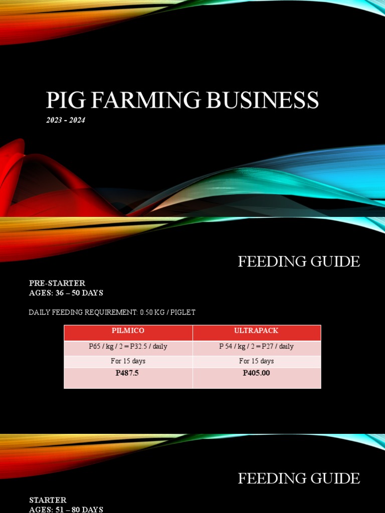 Pig Farming Business Plan | PDF