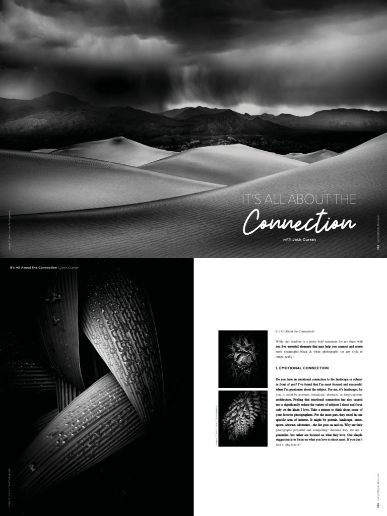 Shutter Jack Curran | PDF | Imaging | Photography Equipment