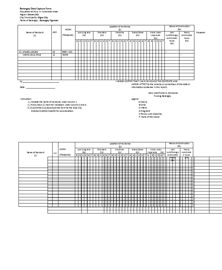 Barangay Data Capture Form | PDF