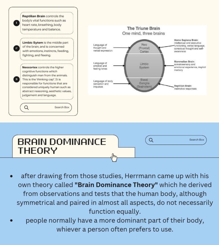 Brain Dominance Theory | PDF