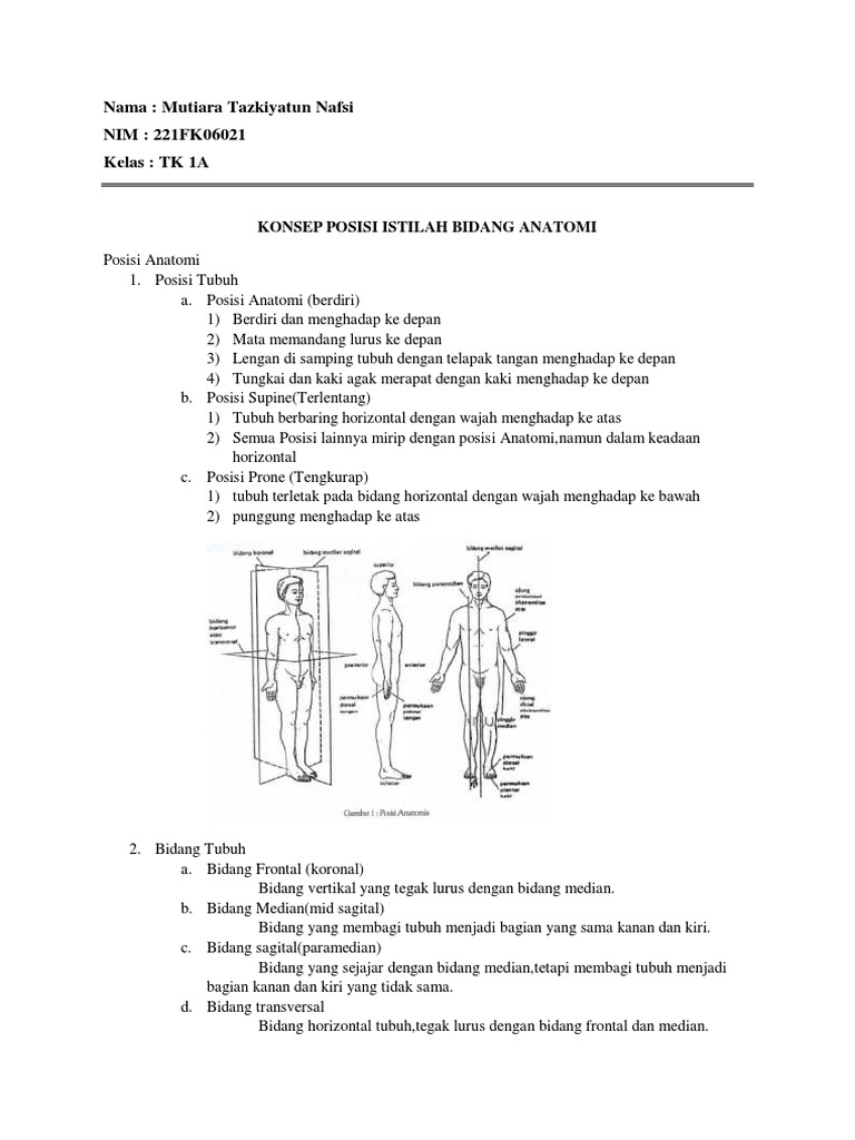 KONSEP DASAR POSISI DAN ARAH GERAK TUBUH DALAM ANATOMI | PDF
