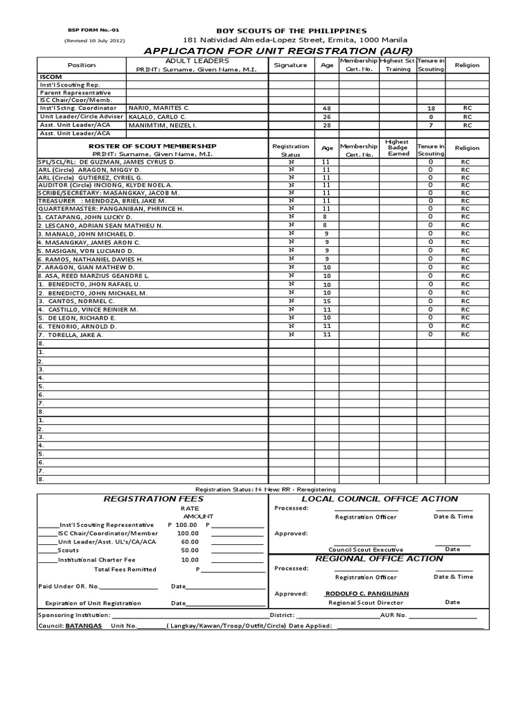 BUBUYAN ES BSP AUR Form | PDF | Girl Guiding And Girl Scouting ...