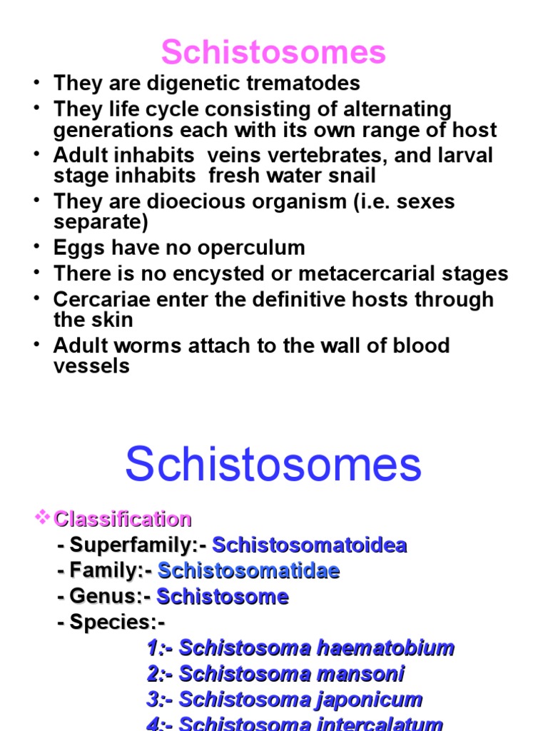 03 Schistosomes | PDF | Clinical Medicine | Medical Specialties
