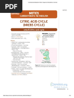 Cardiovascular Anatomy Physiology Notes Pdf