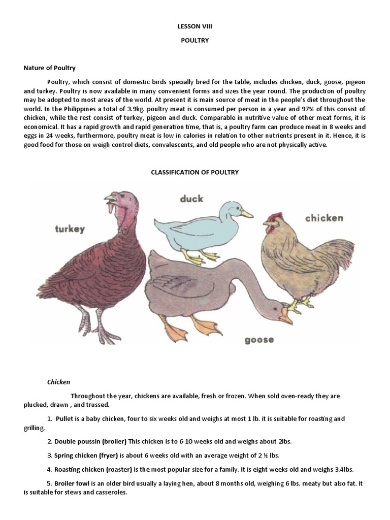 LESSON VIII Poultry | PDF | Poultry | Chicken