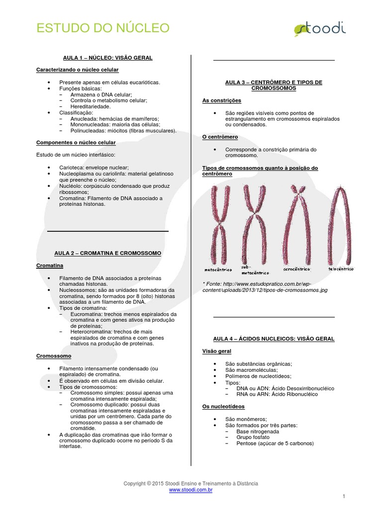 Resumo - Estudo Do Núcleo | Download grátis PDF | RNA | DNA