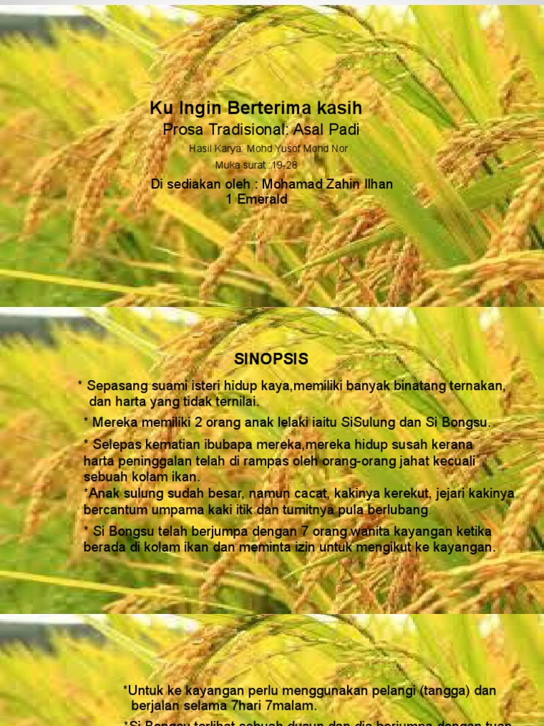 Presentation1 Zahin - Sinopsis (Asal Padi) | PDF