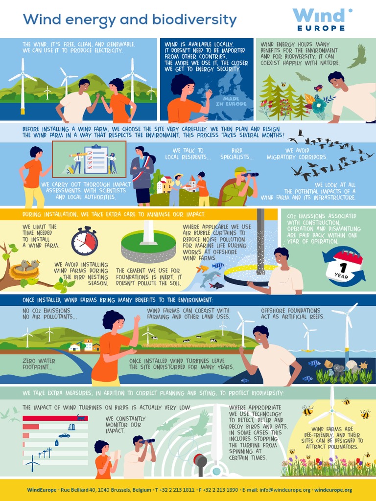 WindEurope Infographic Wind Energy and Biodiversity | PDF | Wind Farm ...