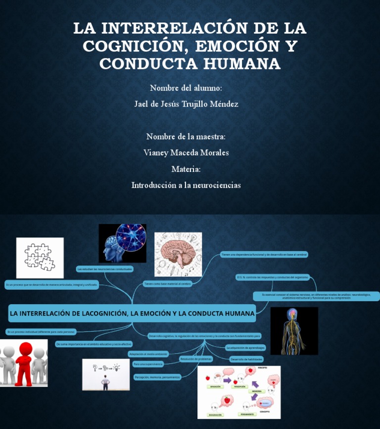 Interrelación de La Cognición, Emoción y Conducta Humana | PDF
