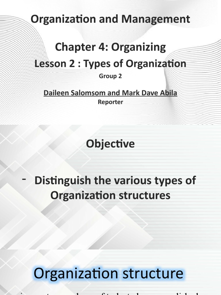 Chapter 4:organizing Lesson 2: Types of Organization | PDF | Organizational Structure | Business