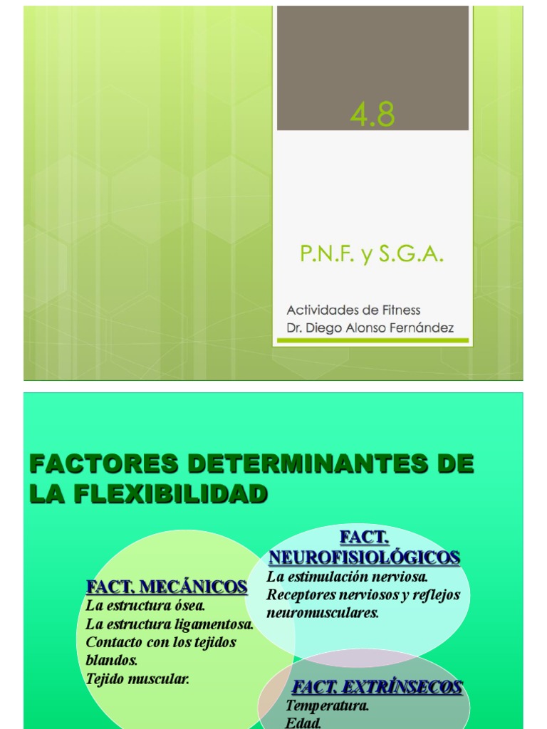 Tema 4.8 - PNF y Sga | PDF | Músculo esquelético | Articulación