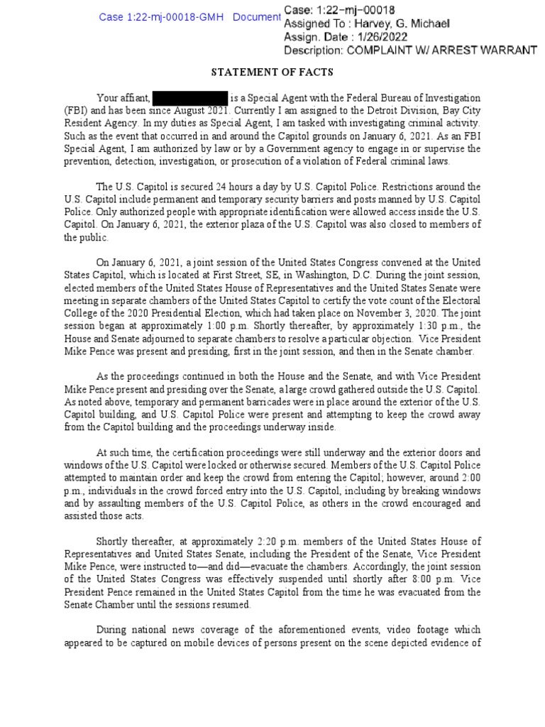 Matthew Krol Statement of Facts | PDF | Special Agent | United States ...