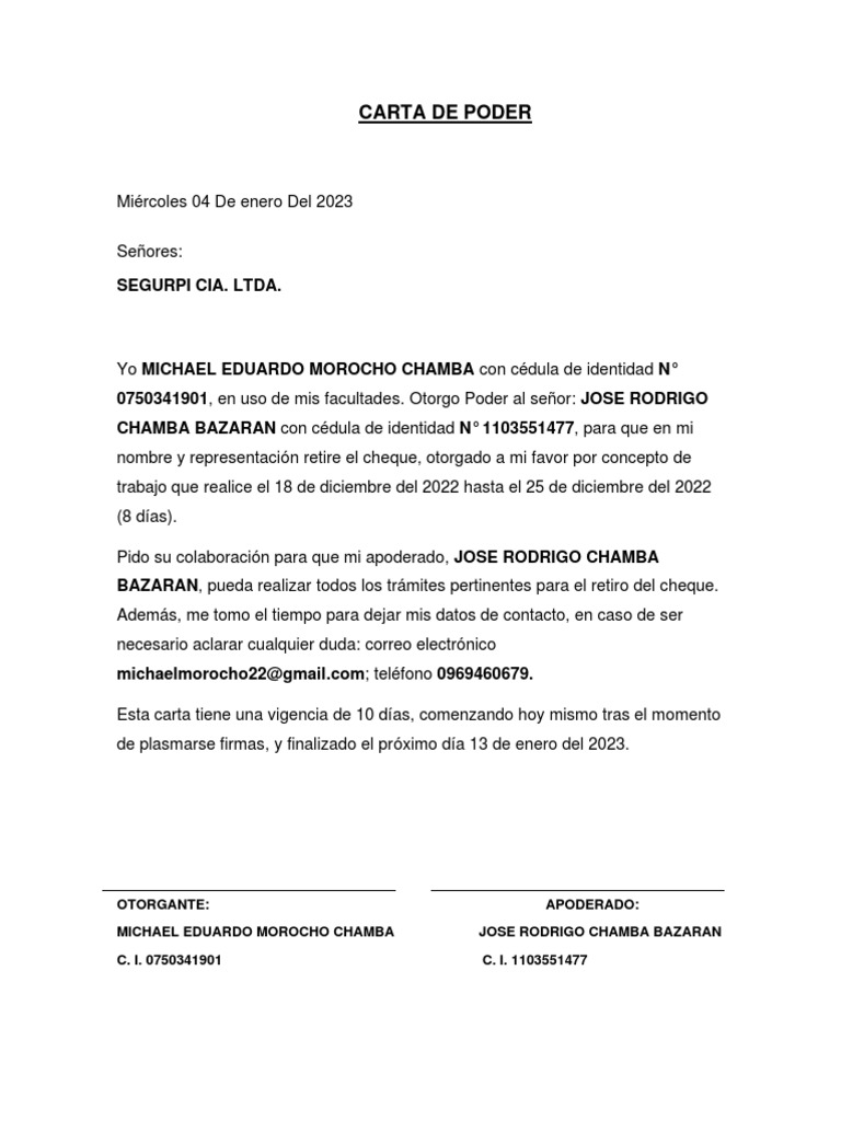 Carta de Poder 1 | PDF
