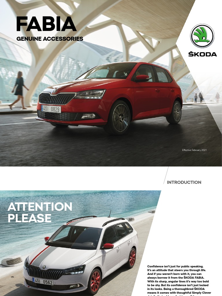 ŠKODA FABIA Accessories Guide | PDF | Smartphone | Tablet Computer