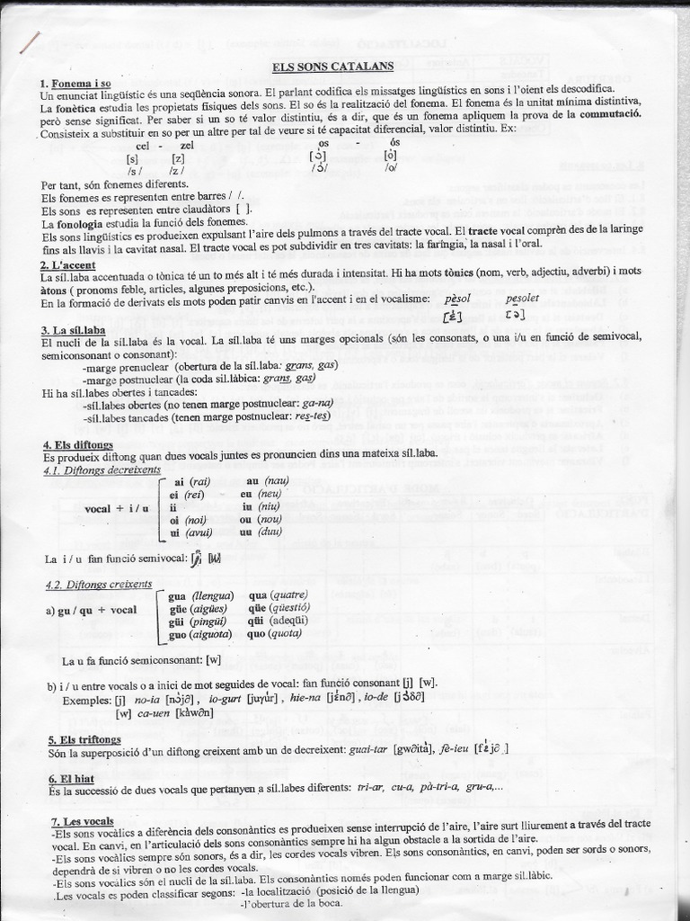 Apunts de Fonètica | PDF