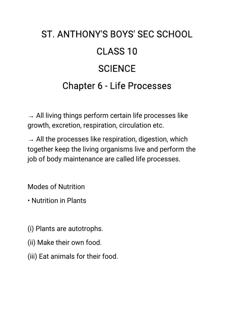 Class 10 Science Chapter 6 Notes | PDF | Respiratory System