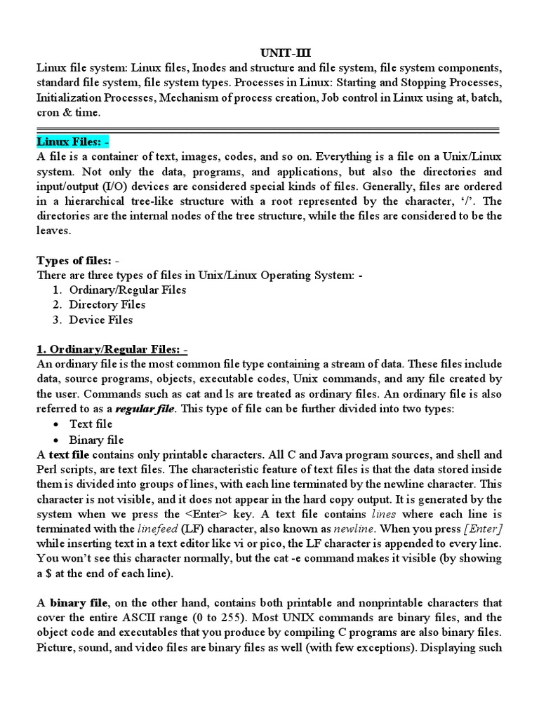LSP Unit 3 | PDF | File System | Computer File