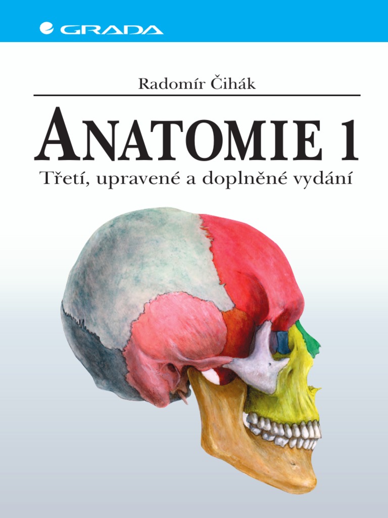 Anatomie 1 Ukazka | PDF