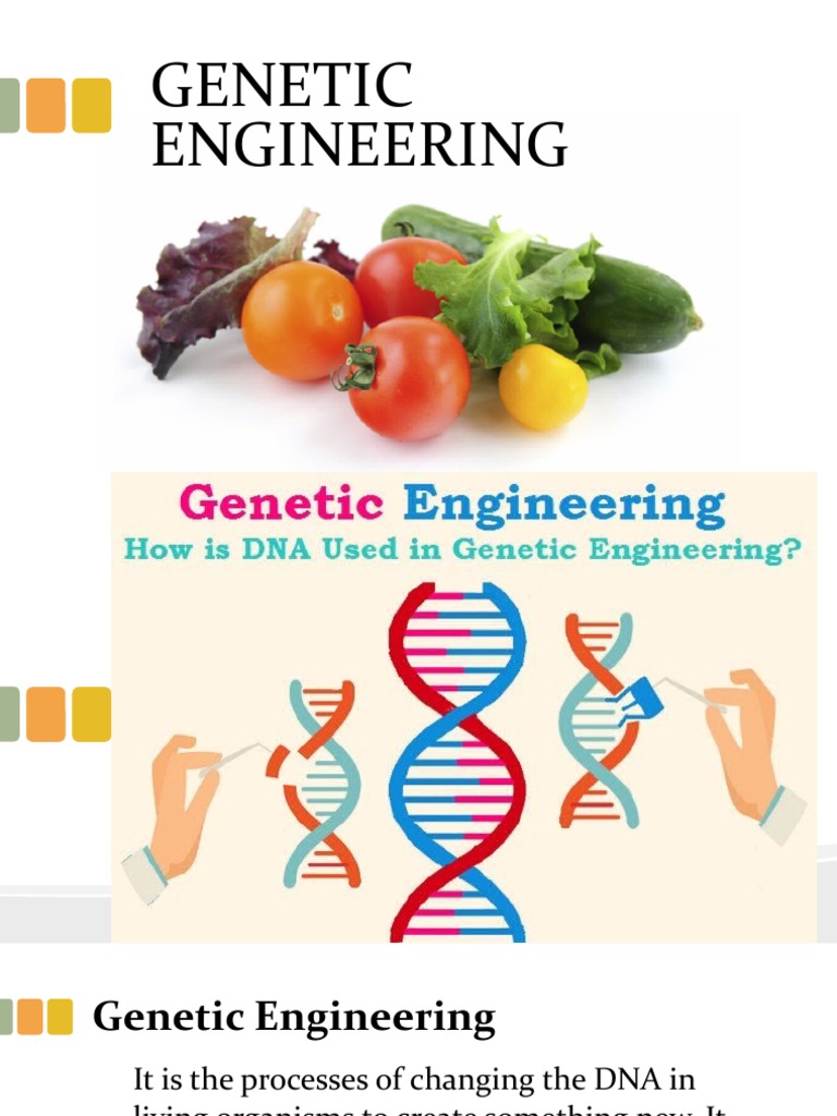 An Overview of Genetic Engineering: Processes, Applications, Benefits ...