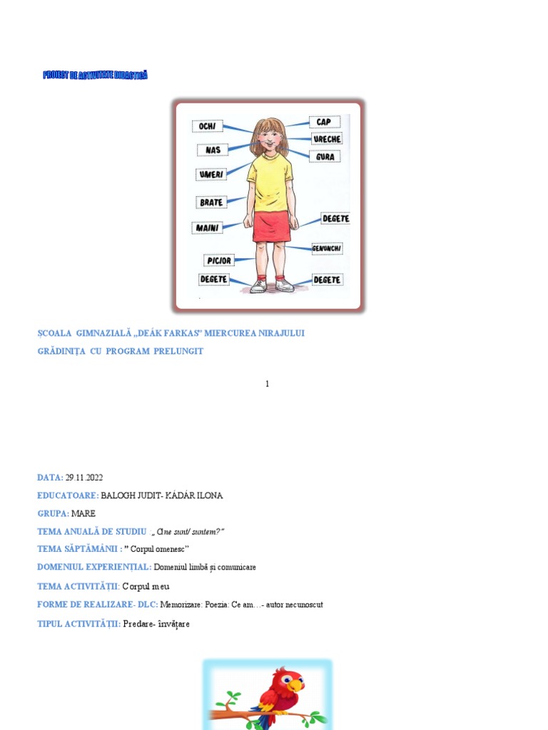 Proiect Did Pedakörre | PDF