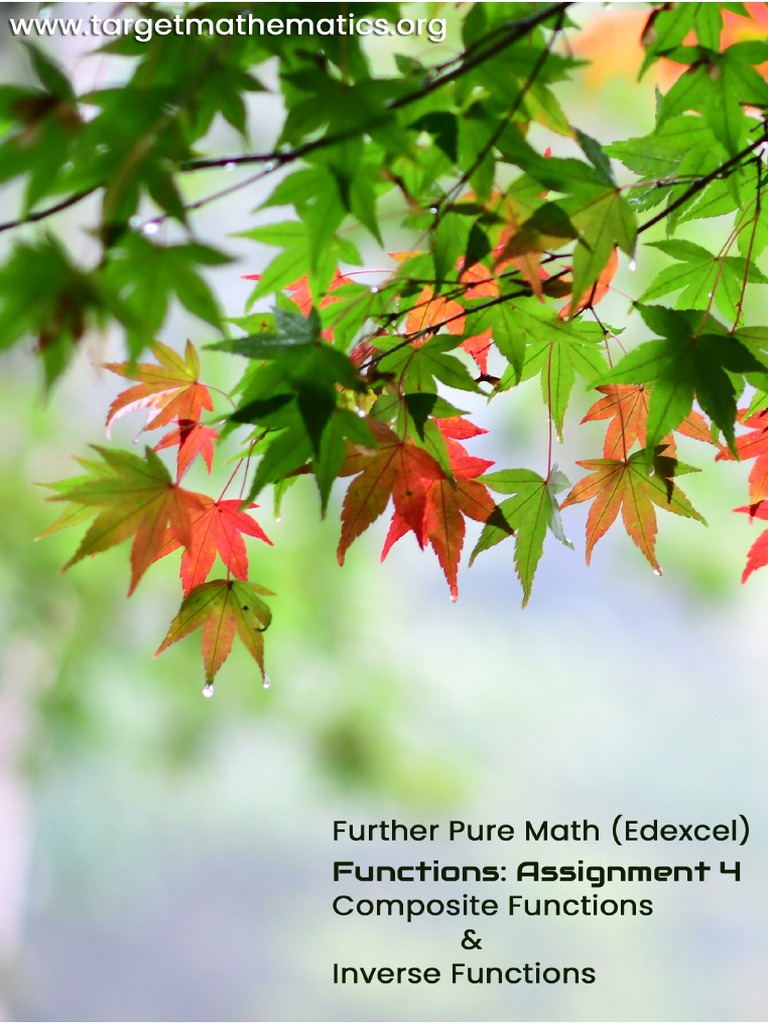 Functions Assignment4 | PDF | Function (Mathematics) | Elementary ... Functions Assignment4 | PDF | Function (Mathematics) | Elementary ...