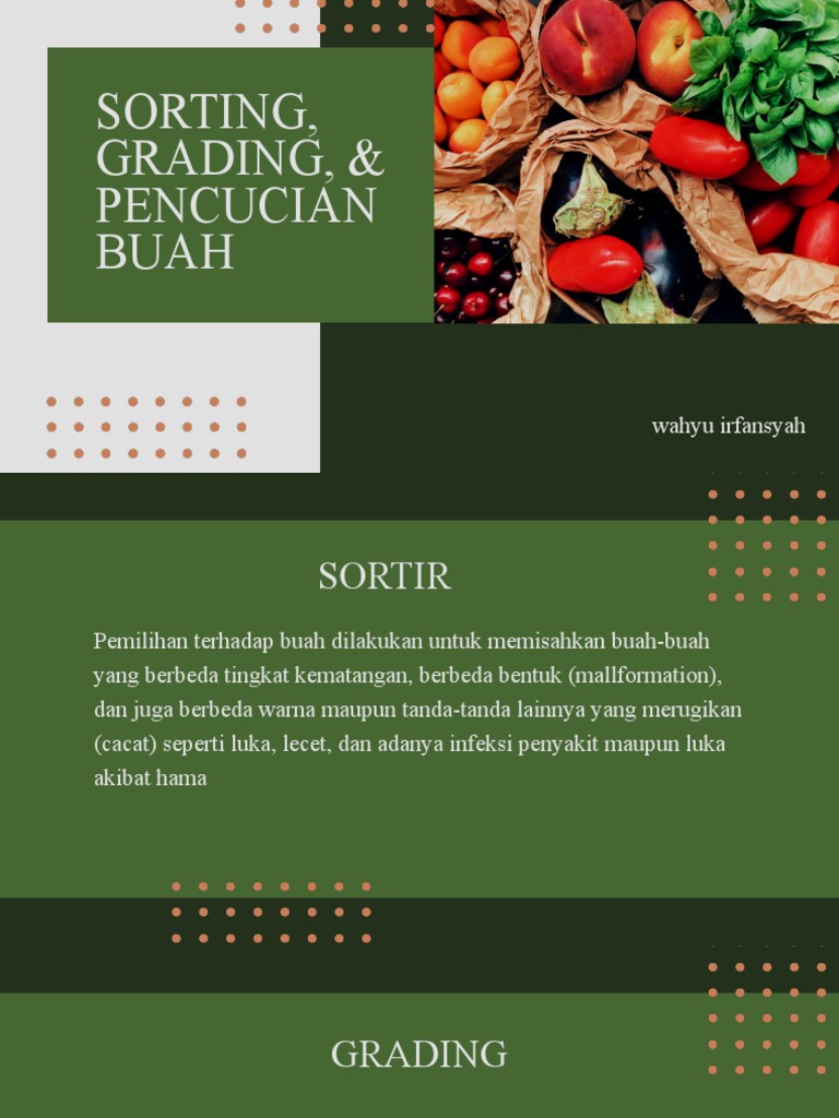Sorting Grading Pencucian Buah | PDF