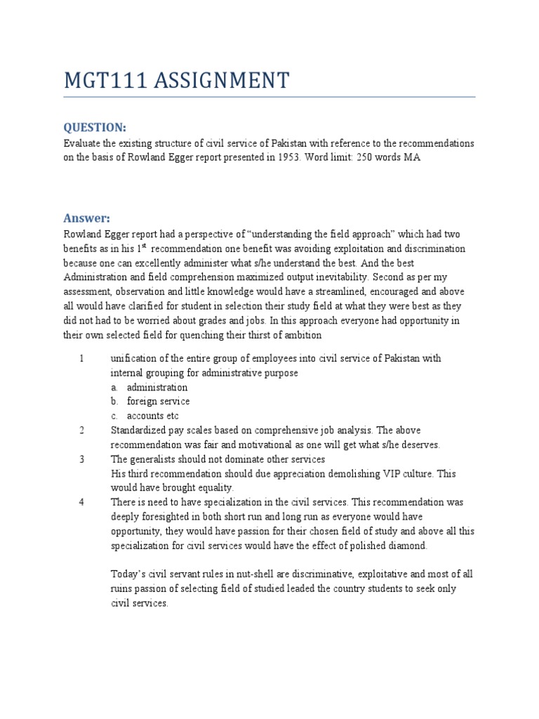 MGT111 Assignment | PDF
