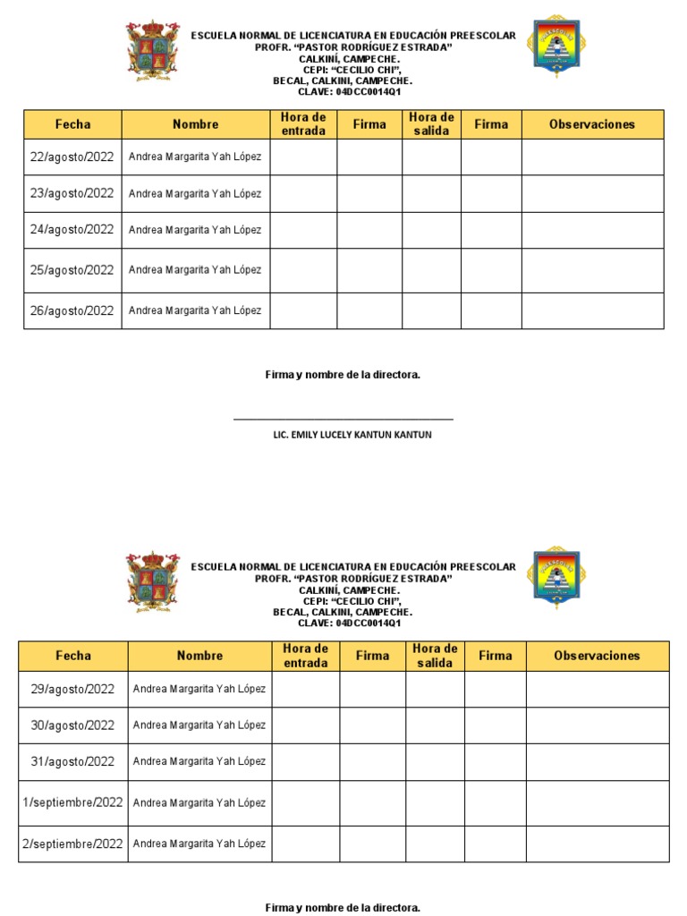 Control de Entrada y Salida | PDF