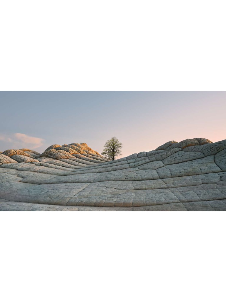 macos-big-sur-stock-daytime-lone-tree-sedimentary-rocks-3840x2160-3783 ...