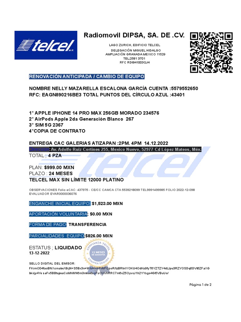 Radiomovil DIPSA, SA | PDF | Red mundial | Internet y web