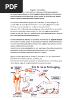 Ciclos de vida de parásitos monoxenos y heteroxenos | PDF | Parasitismo ...