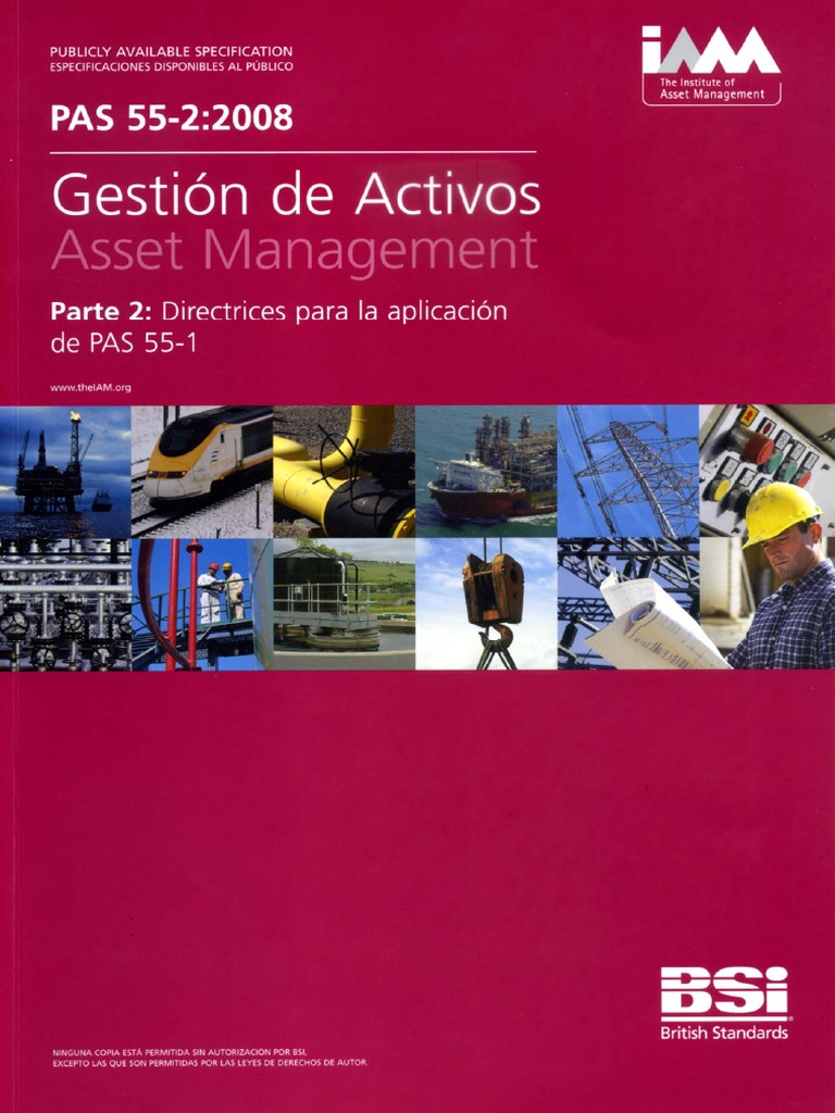 PAS 55 - Parte 2 | PDF