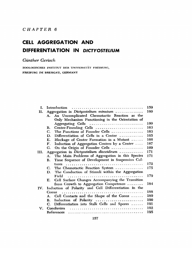 Dictyostelium Cell Aggregation Dynamics | PDF | Chemotaxis | Morphogenesis