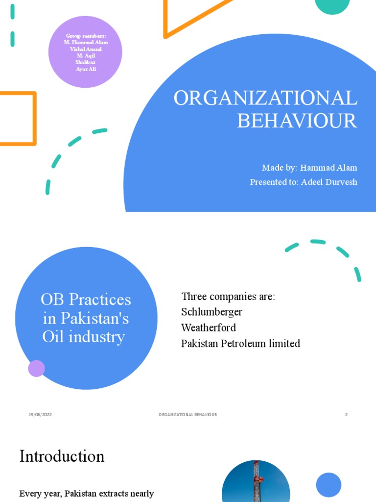 Organizational Behaviour | PDF