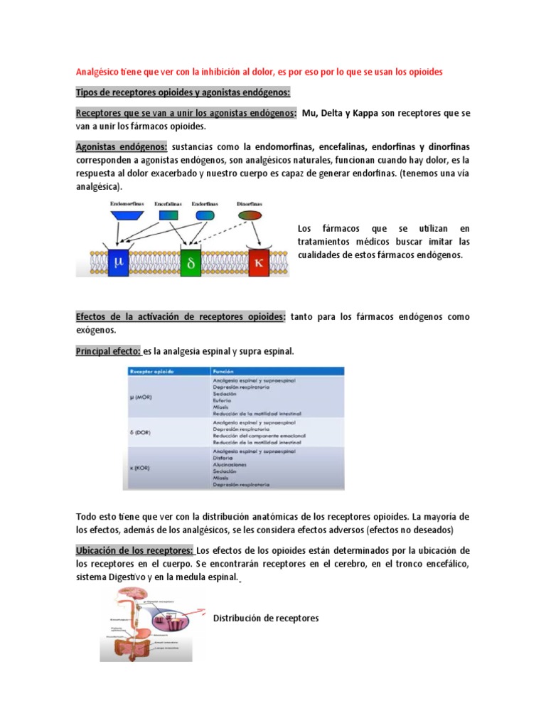 Capsula Opioides. | PDF | Sinapsis | Opioide