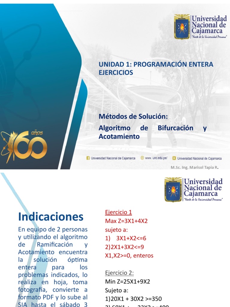 Solución óptima entera a problemas de programación mediante algoritmos de ramificación y ...