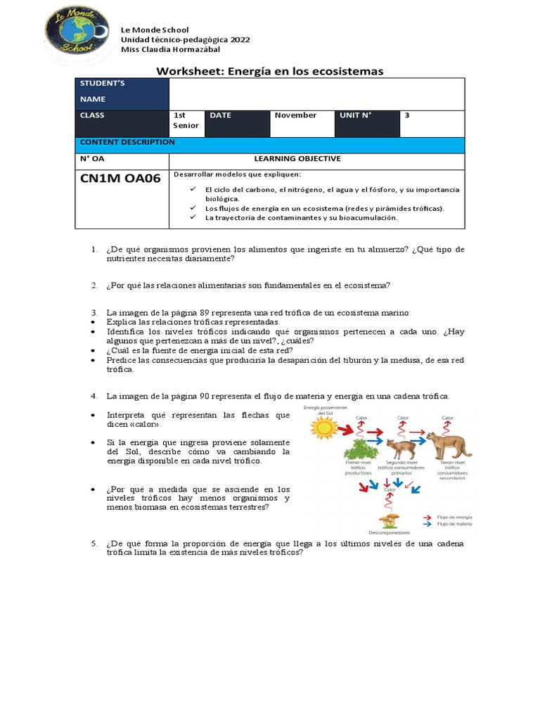 Flujos de materia y energía en ecosistemas | PDF | Fósforo | Red ...