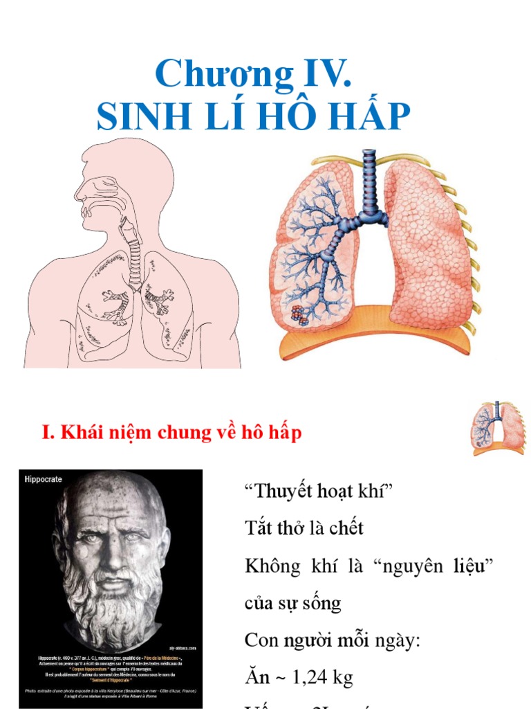 Chương IV. Sinh Li Ho Hap | PDF