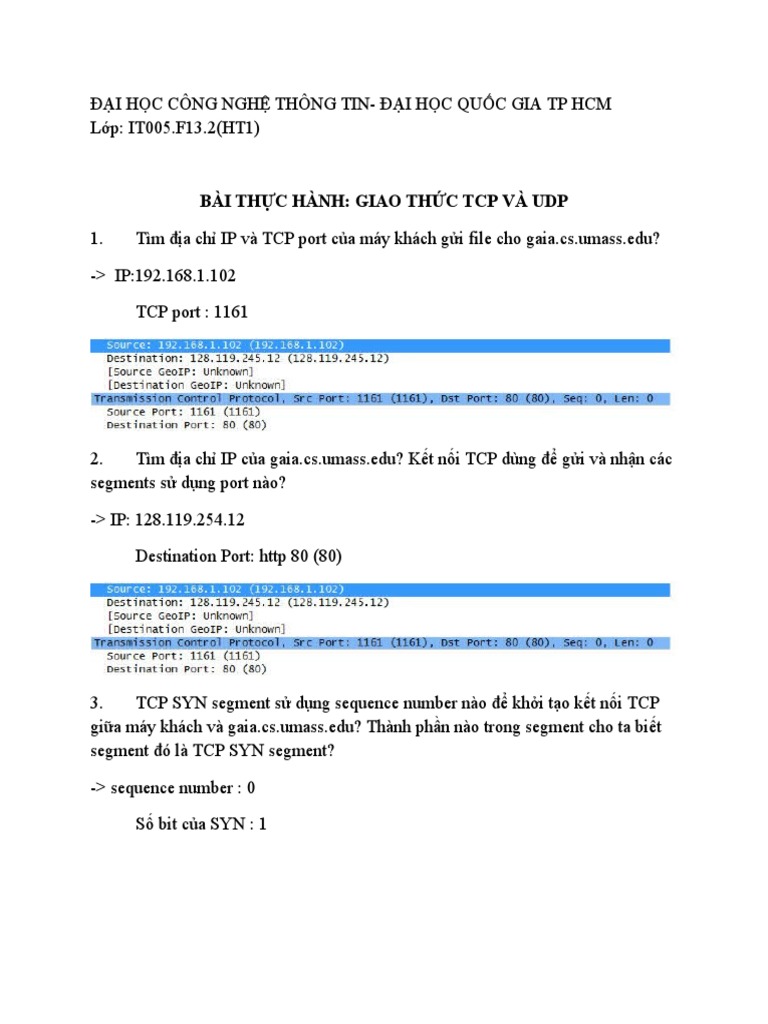 (123doc) - Phan-Tich-Goi-Tin-Bang-Wireshark-Icmp-Ip-Tcp-Udp-Arp-Enthernet | PDF
