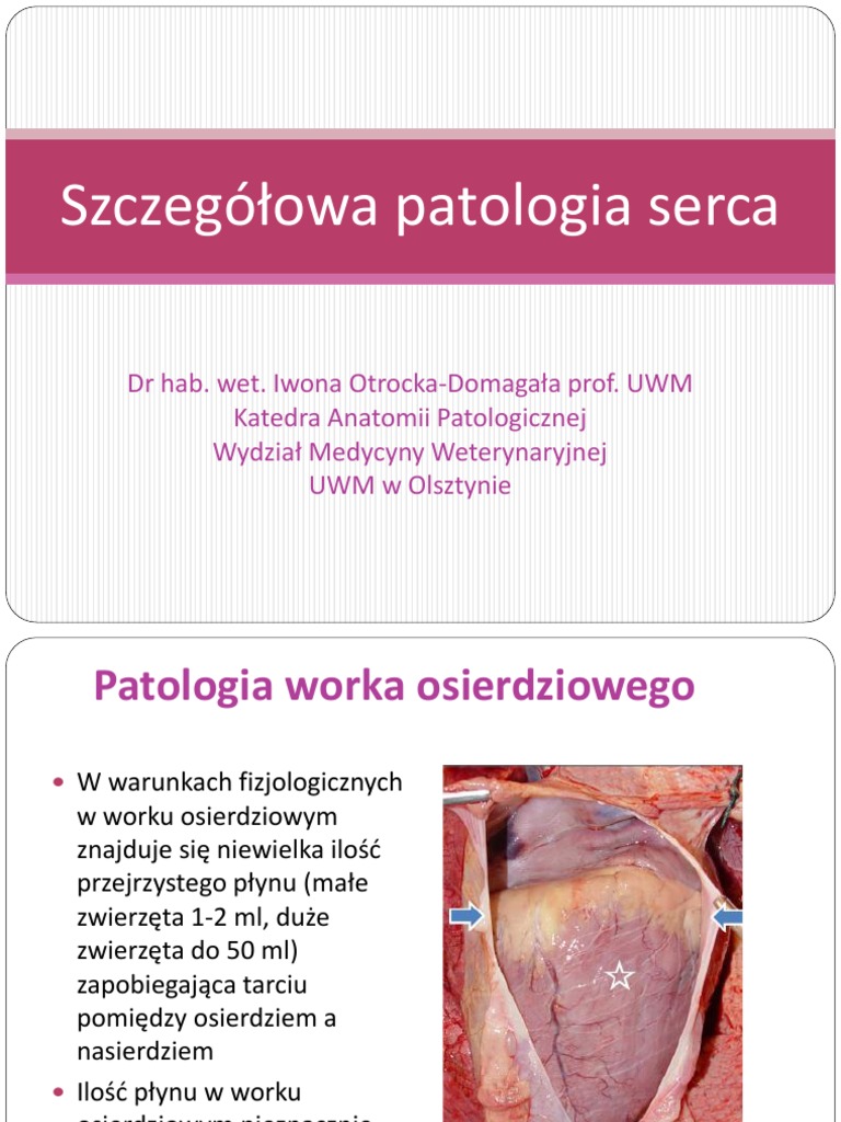 Szczegółowa Patologia Serca 2 | PDF
