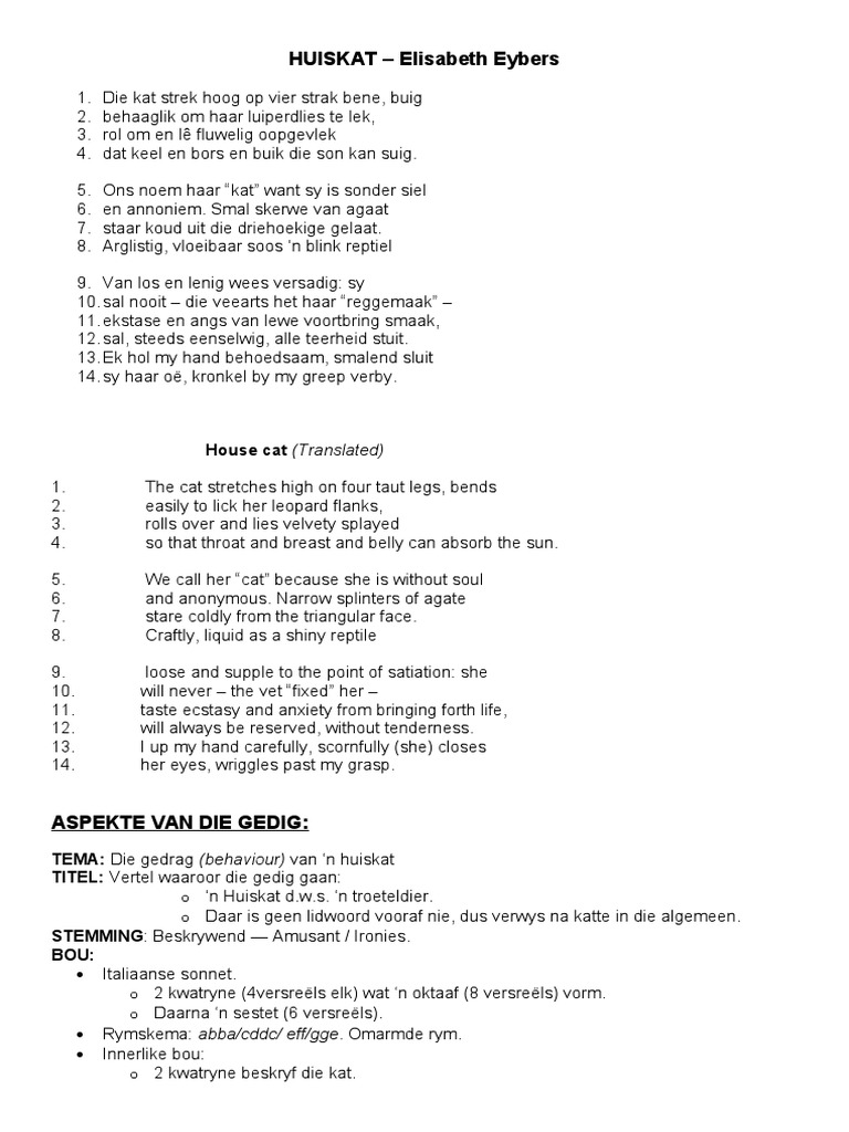 HUISKAT (To Print) | PDF