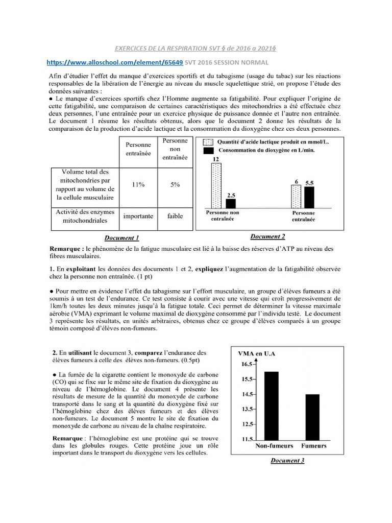 Exercices de La Respiration SVT | PDF