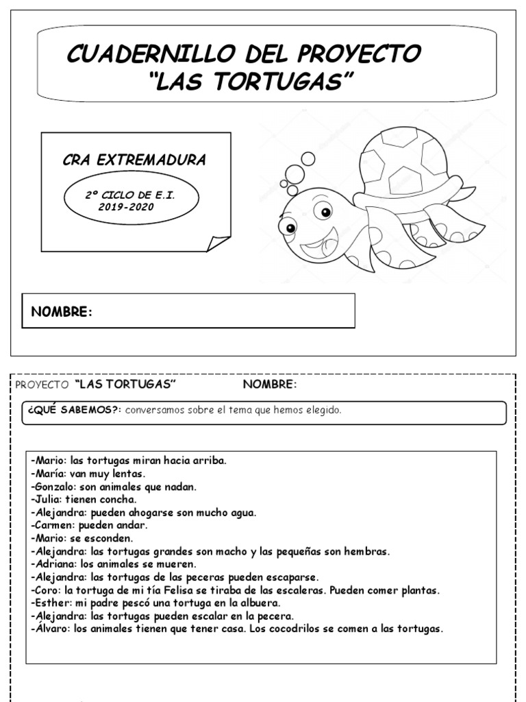 Cuadernillo LAS TORTUGAS | PDF | Tortuga | Reptil