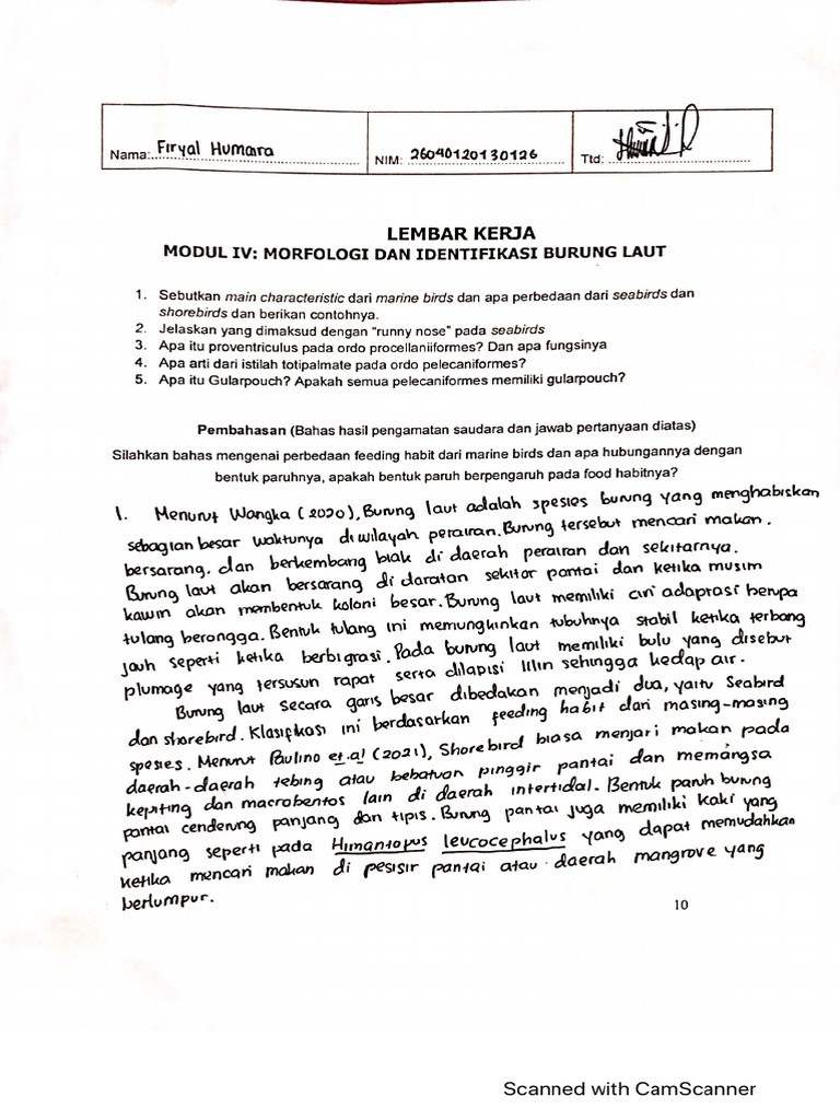 Firyal Humaira - 126 - Ikb - Modul 7 | PDF