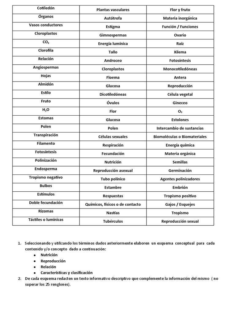 Actividad de Clase Sobre Plantas | PDF | Plantas | Flores