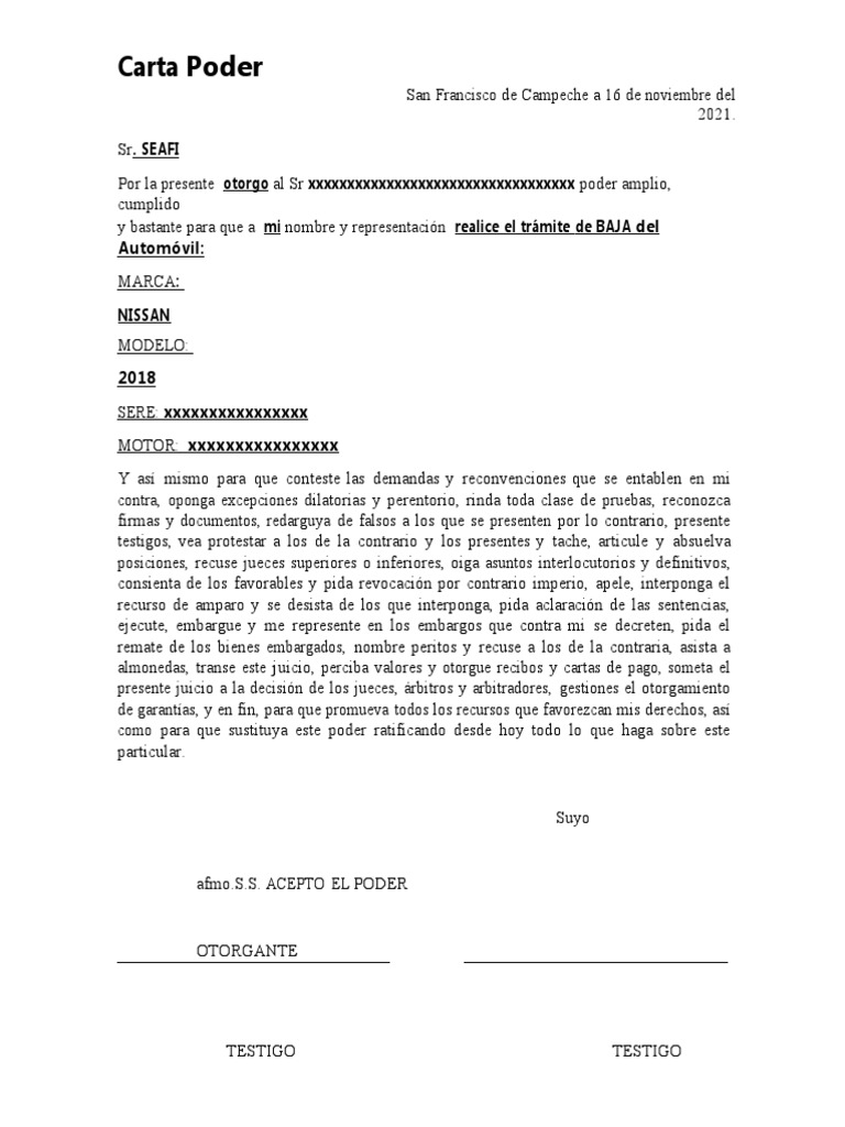 Carta Poder Seafi | PDF