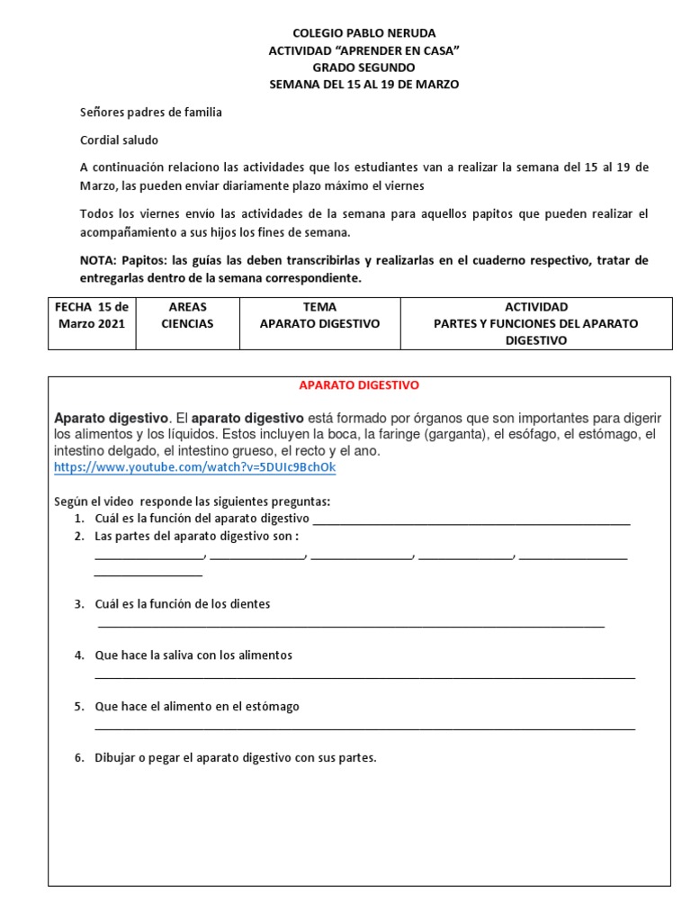 Guia Segundo Grado Primaria 2 Pdf Sistema Digestivo Humano Digestión