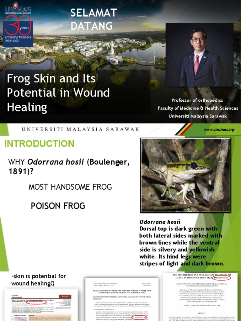 Frog Skin and Its Potential in Wound Healing SBC 291222 | PDF | Skin ...